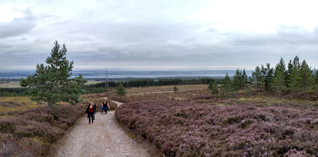 Beinn Bhuidhe Bheag Circular Walk - OS Maps Discover