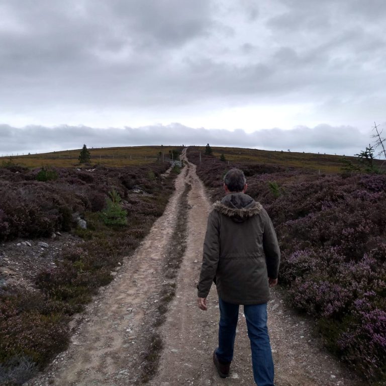 Beinn Bhuidhe Bheag Circular Walk - OS Maps Discover