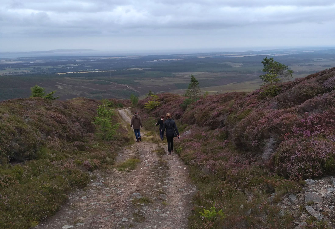 Beinn Bhuidhe Bheag Circular Walk - OS Maps Discover