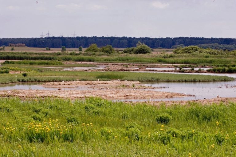 UK Wetlands to Explore - OS Maps Discover